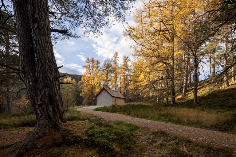 Moxon completes restoration of Scottish cottage once used by Queen ...